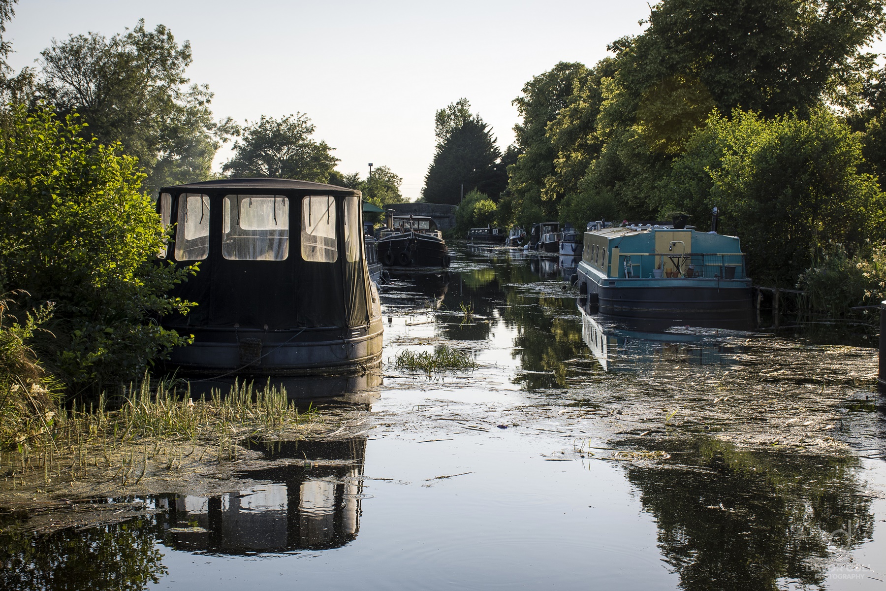 Royal Canal – Davor Goll photography