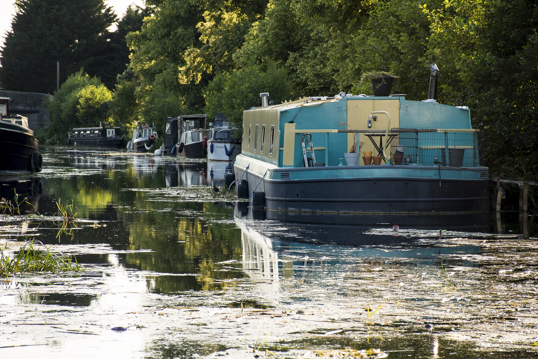 Royal Canal – Davor Goll photography
