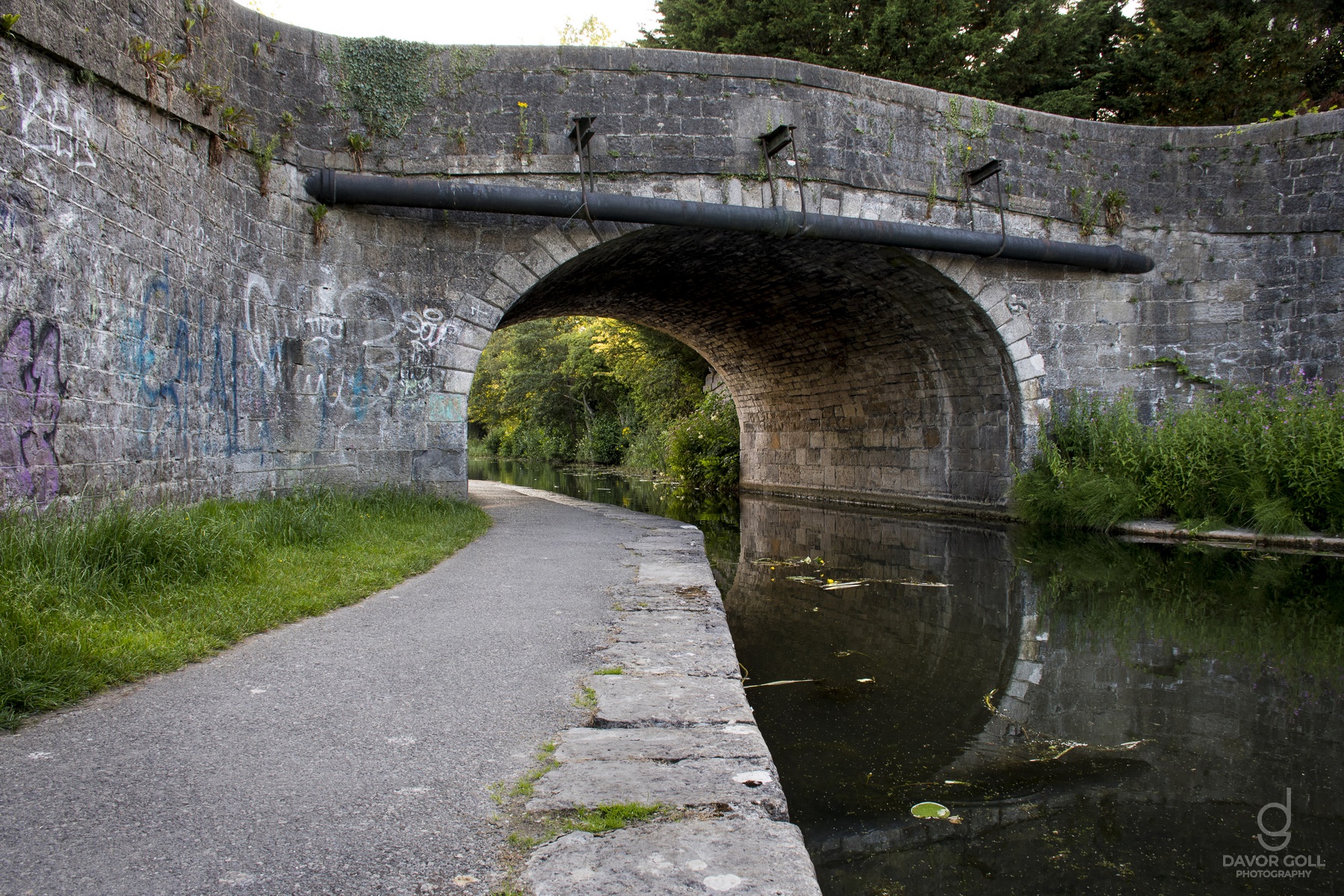Royal Canal – Davor Goll photography