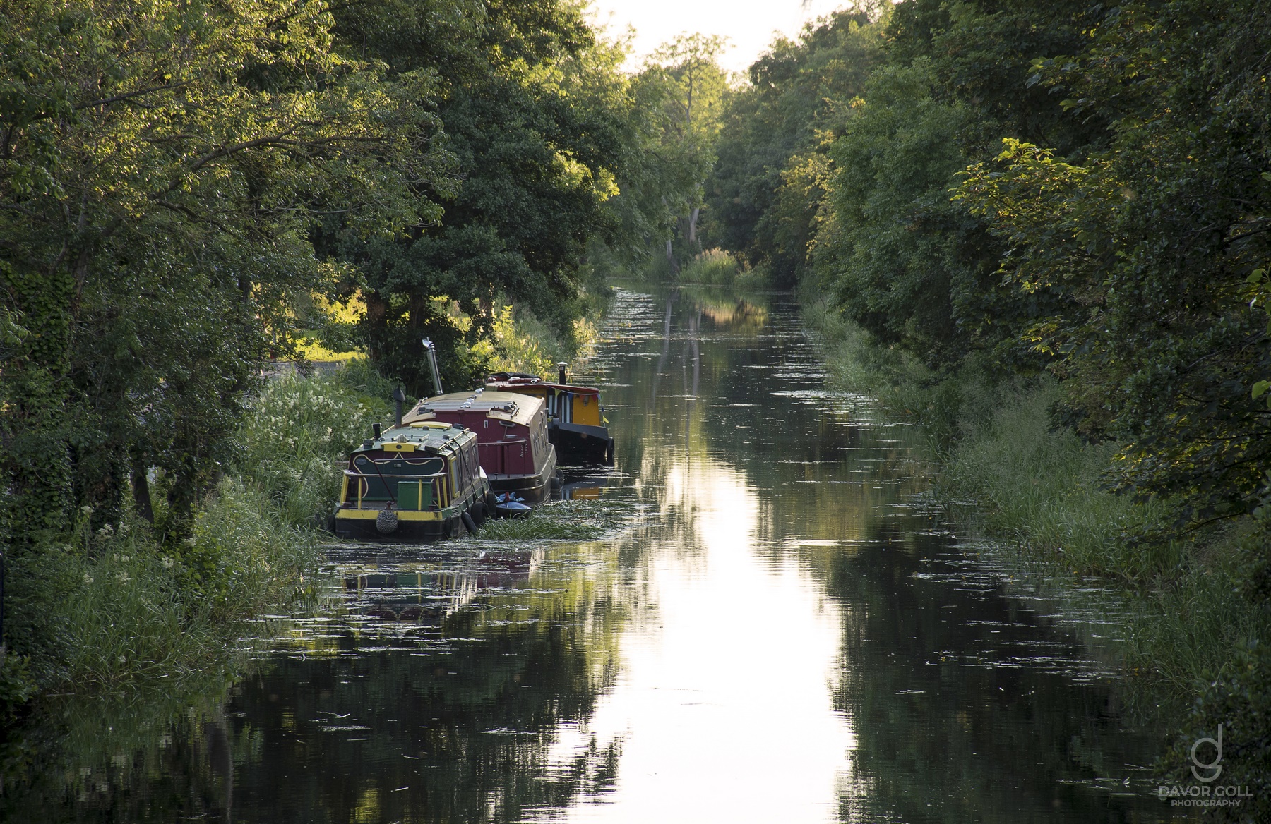Royal Canal – Davor Goll photography